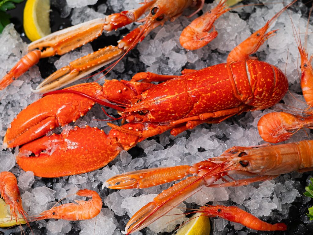 Shellfish Ireland Seafood Processors - Crab - Lobster - Prawns - Scallops